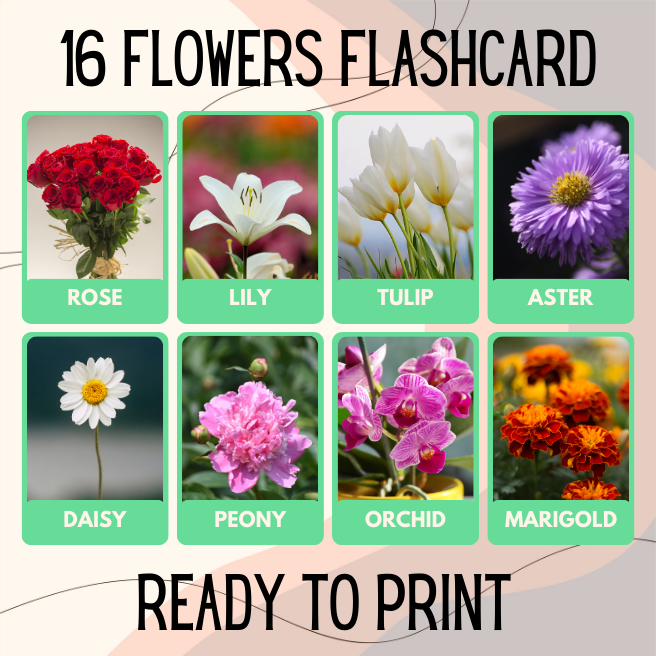 16 Flower Educational Printables Flashcards Educational Activities ...
