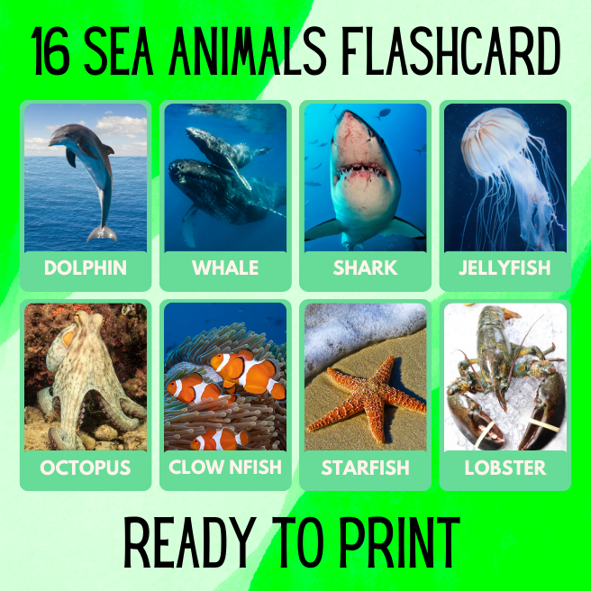 16 Sea Animal Educational Printables Flashcards Educational Activitiy ...