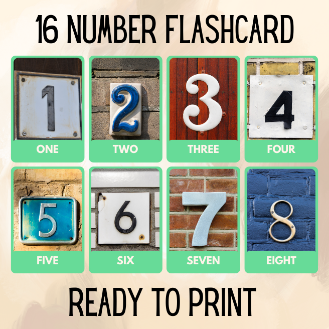 16 Number Educational Printables Flashcards Educational Activities ...