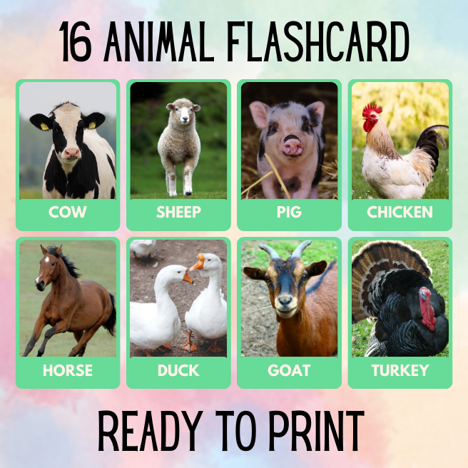 16 Wild Animal Educational Printable Flashcard Educational Activitity ...