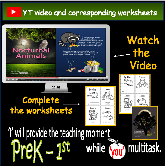 Nocturnal Animals Worksheets & YT Video Lesson | Made By Teachers