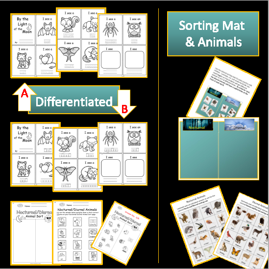 Nocturnal Animals Worksheets & YT Video Lesson | Made By Teachers