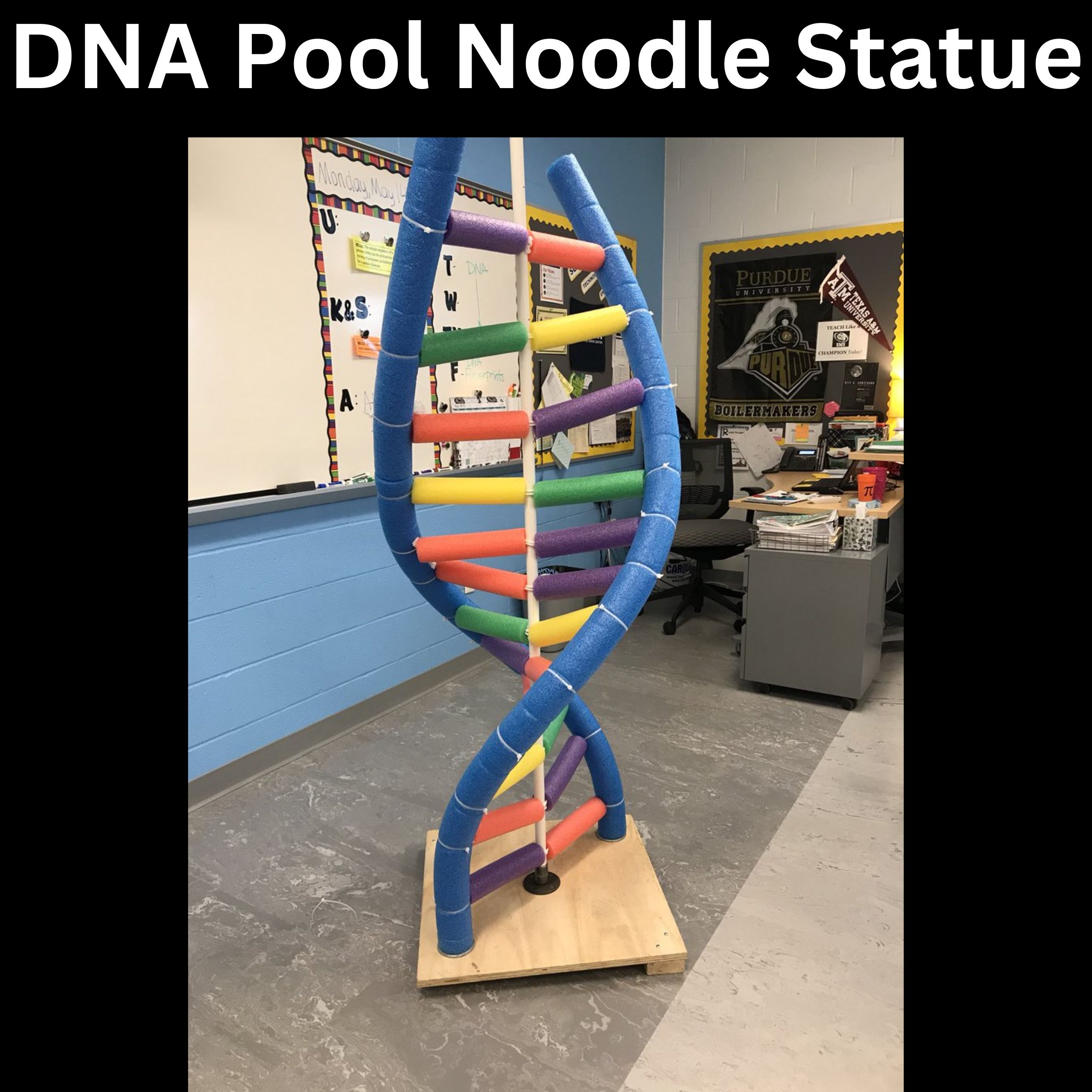 DNA Pool Noodle Statue Middle & High School Science | Made By Teachers