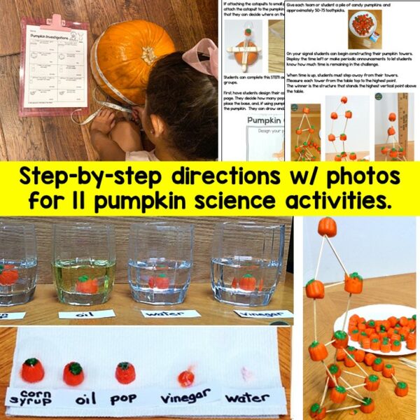 Pumpkin Science Experiments, Pumpkin STEM, Parts of a Pumpkin ...