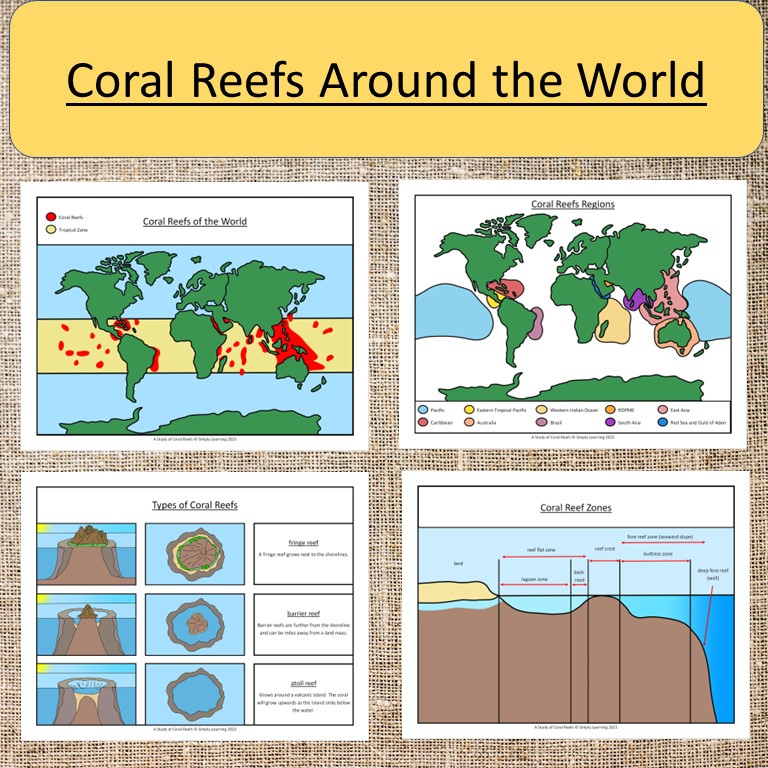 Study of Coral Reefs Ocean Marine Study Geography | Made By Teachers