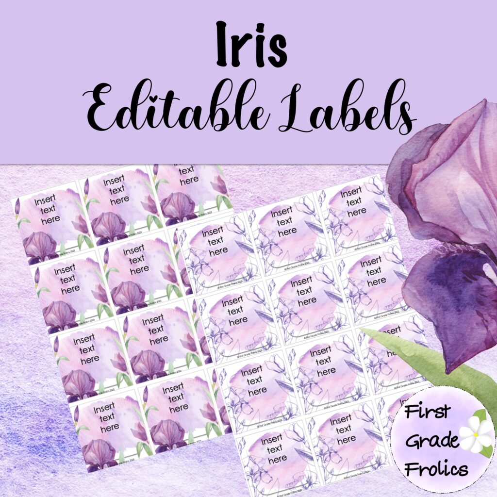 Iris Floral Labels Squares | Made By Teachers