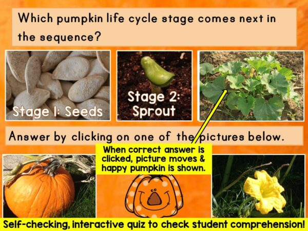 Pumpkin Life Cycle PowerPoint w/ Real Photos, Interactive Quiz ...