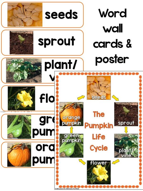 Pumpkin Life Cycle Cards, Craft, Poster, & Printables with Real ...