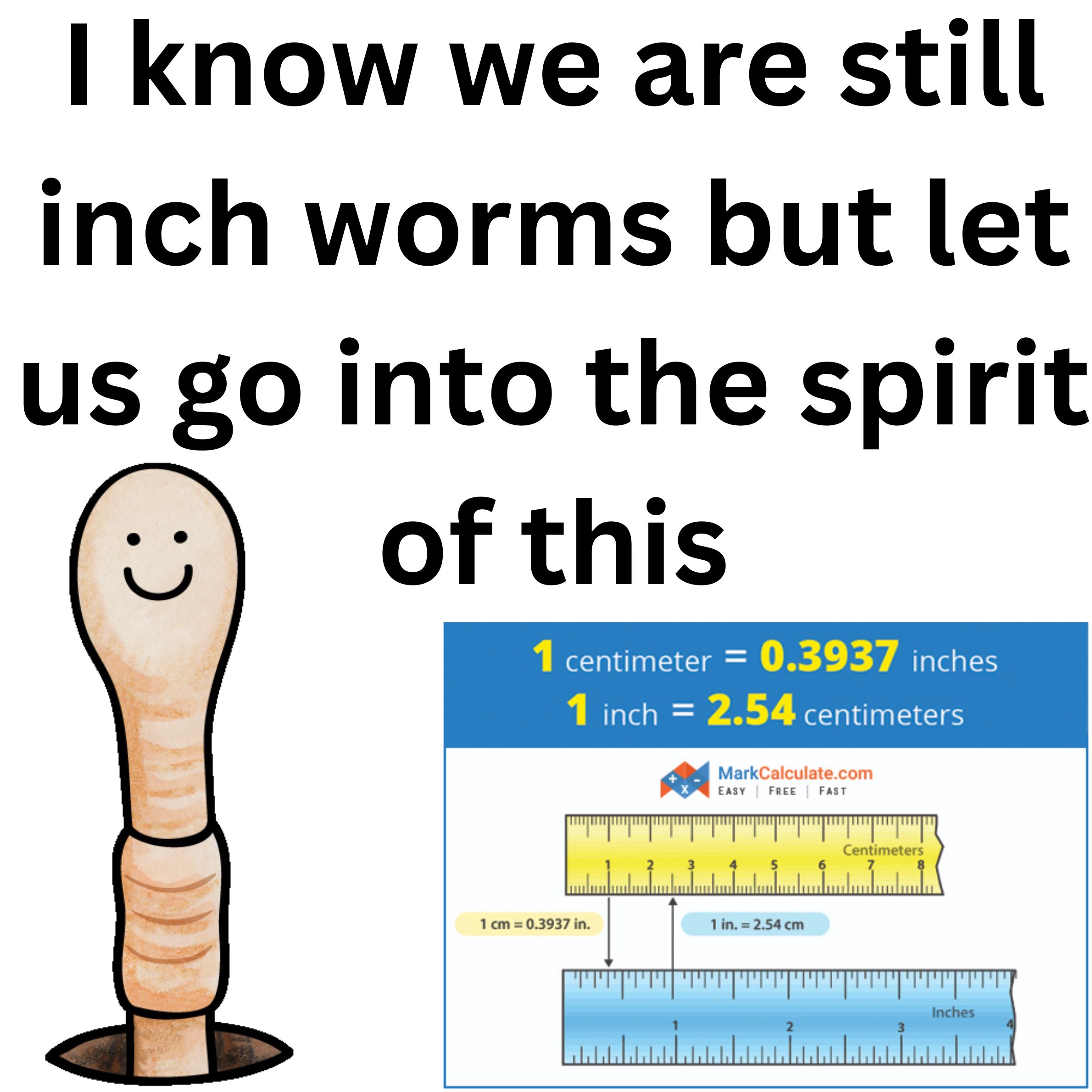 Metric System (SI) Measuring Fun Activity Middle, High School Science ...