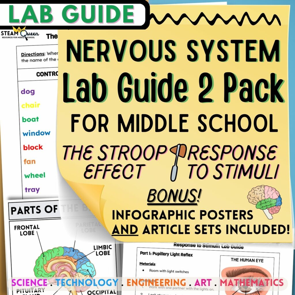 Nervous System | Made By Teachers
