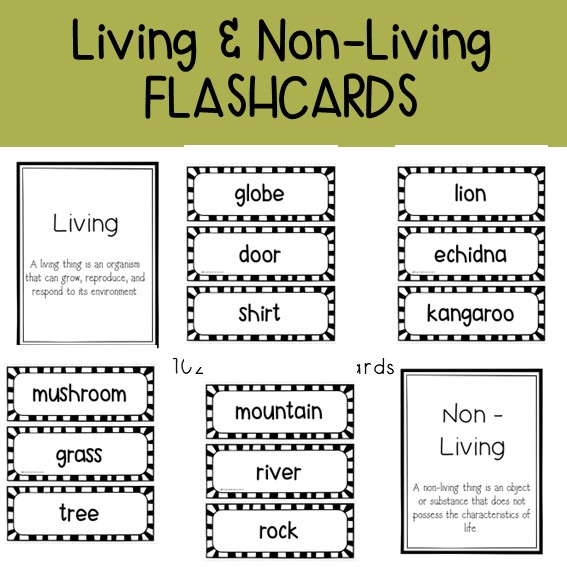 Living And Non-living | Made By Teachers