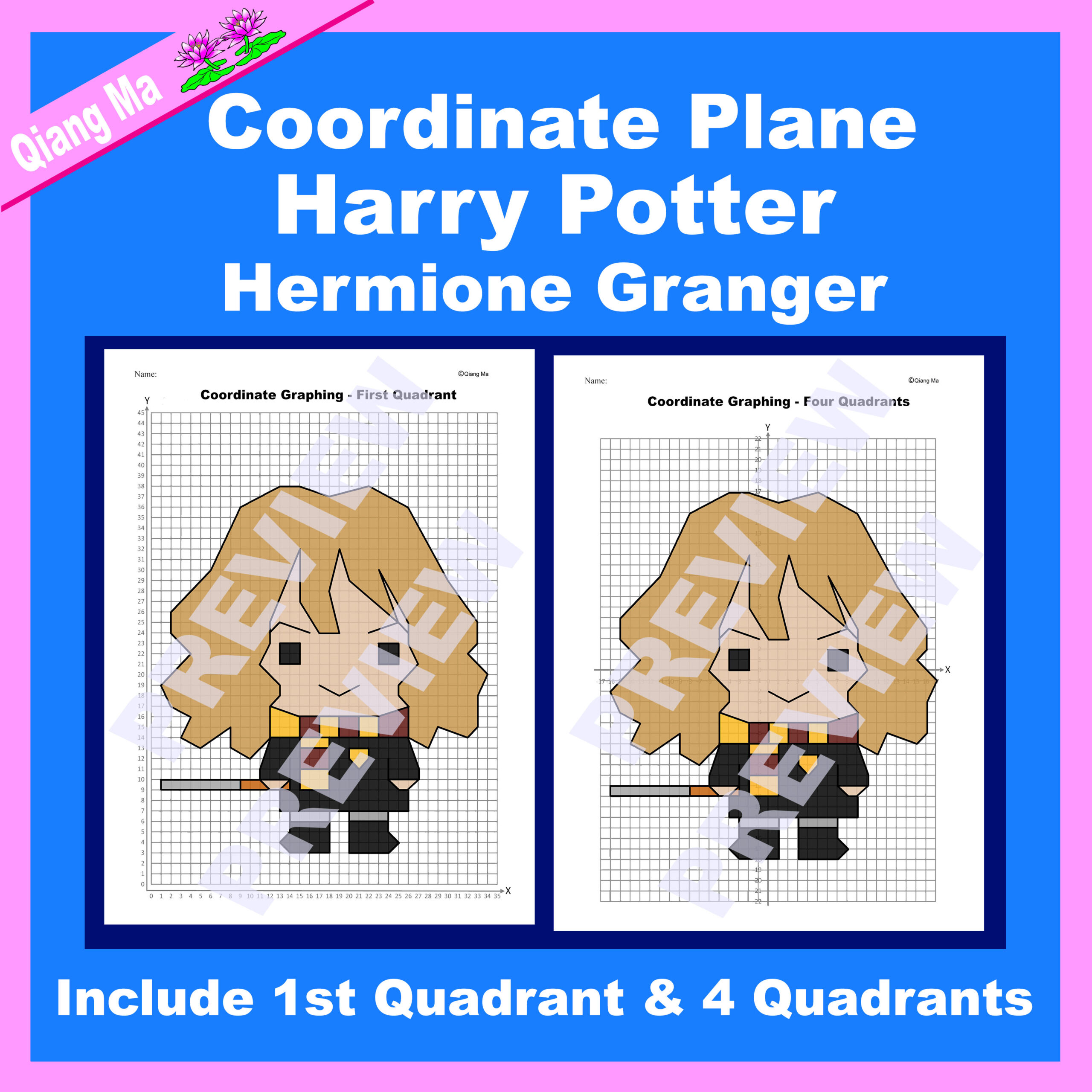 Harry Potter Coordinate Plane Graphing Picture: Hermione Granger | Made ...