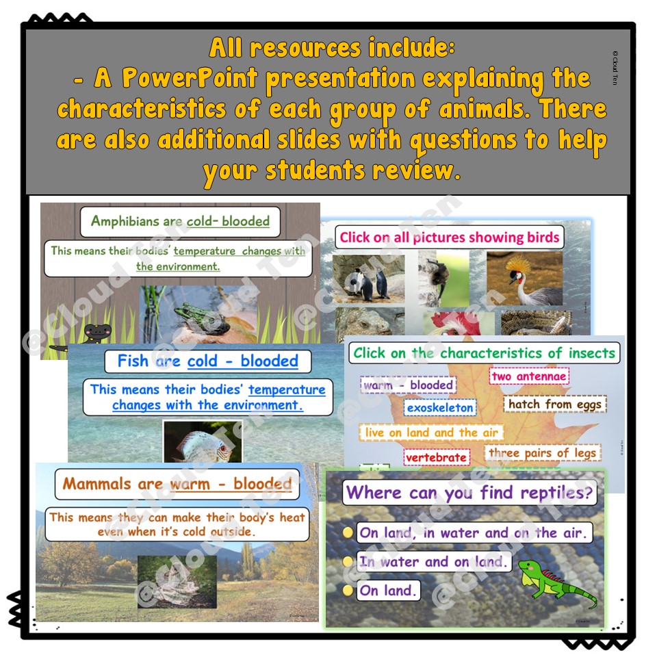 Animal characteristics bundle | Made By Teachers