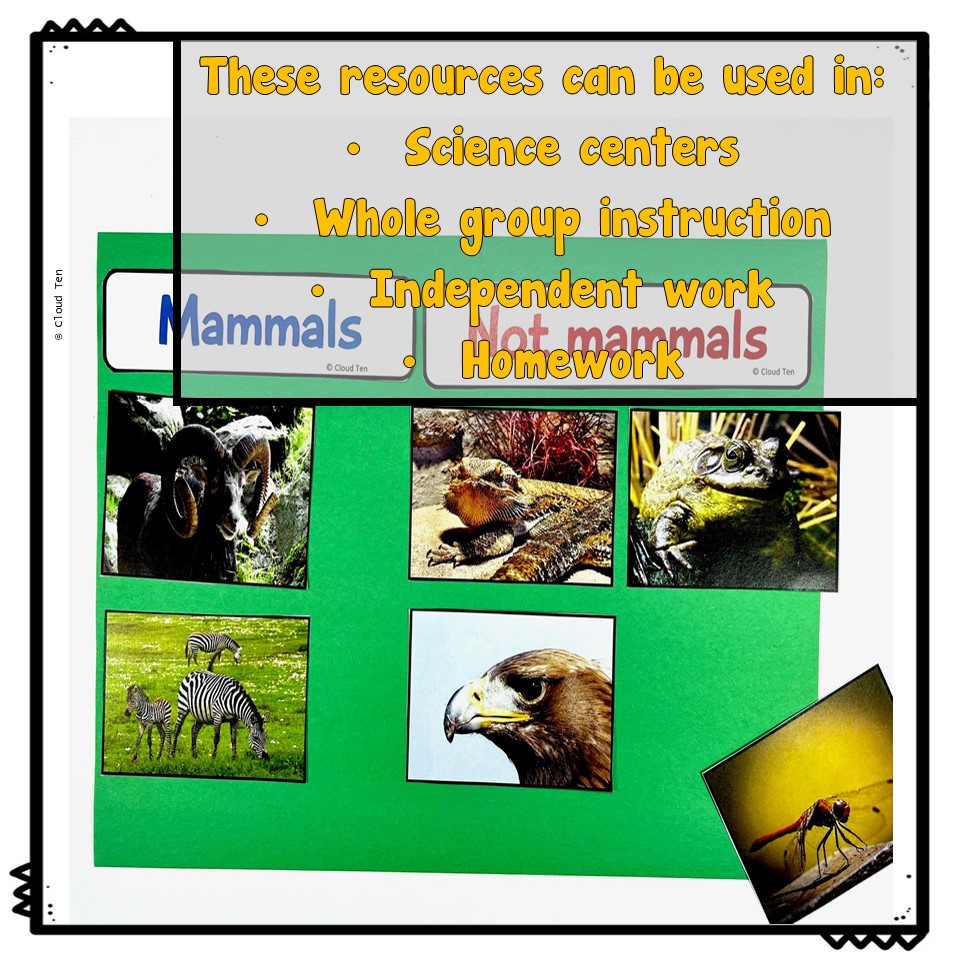 Animal characteristics bundle | Made By Teachers