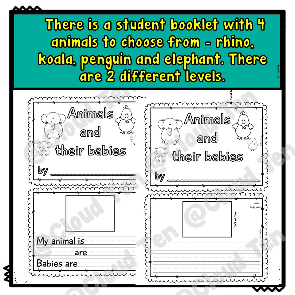 Animals and their babies | Made By Teachers