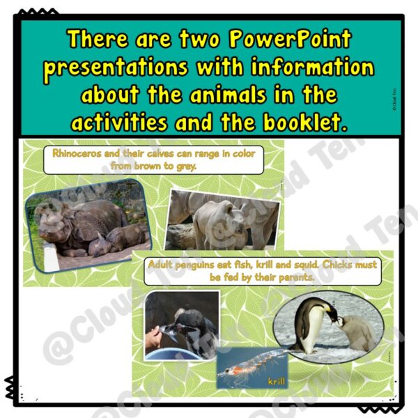 Animals and their babies | Made By Teachers