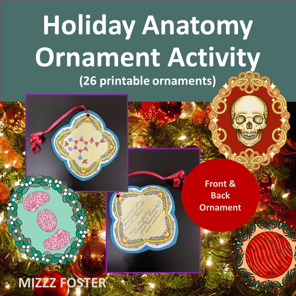 Holiday Anatomy & Physiology / Health / Biology Ornaments (26 unique ...