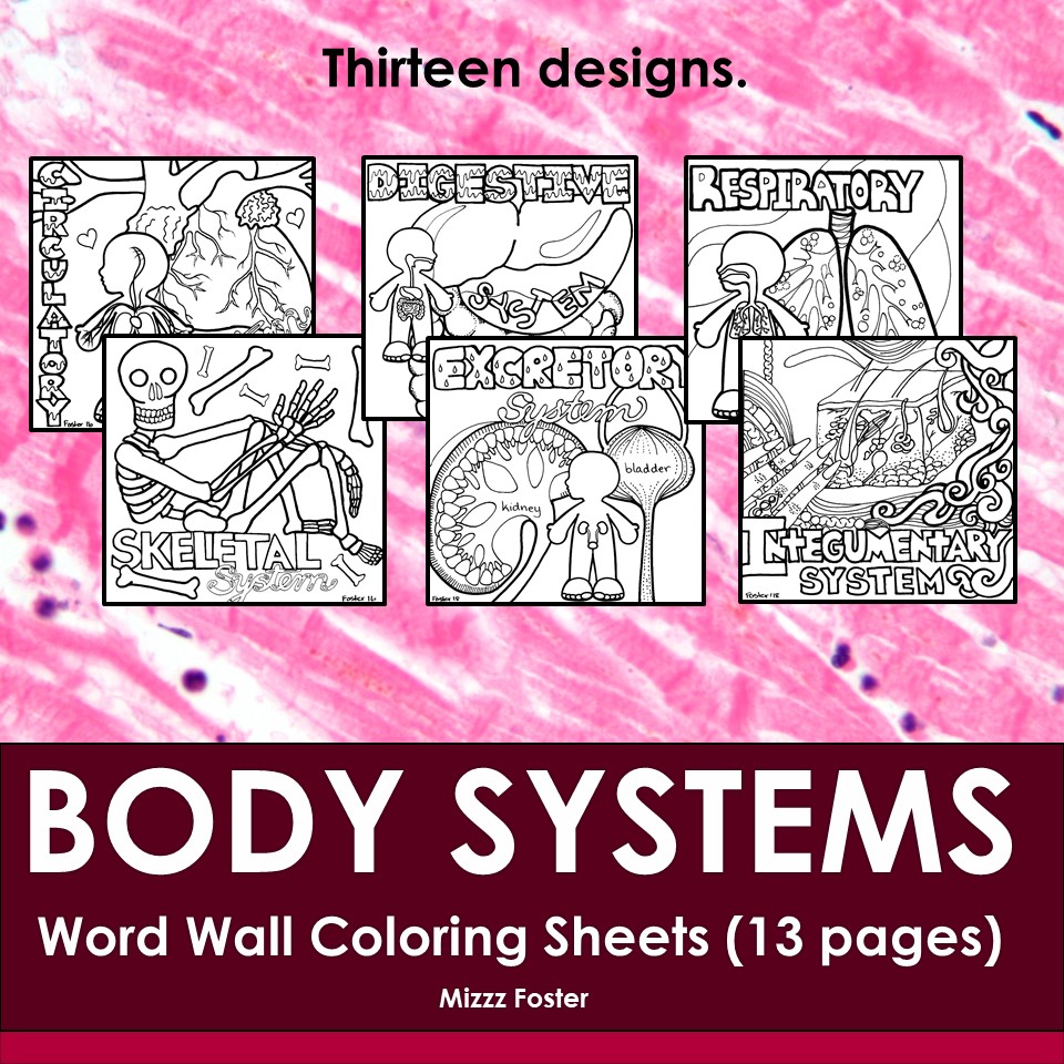 Human Anatomy & Physiology: Body Systems Word Wall Coloring Sheets ...
