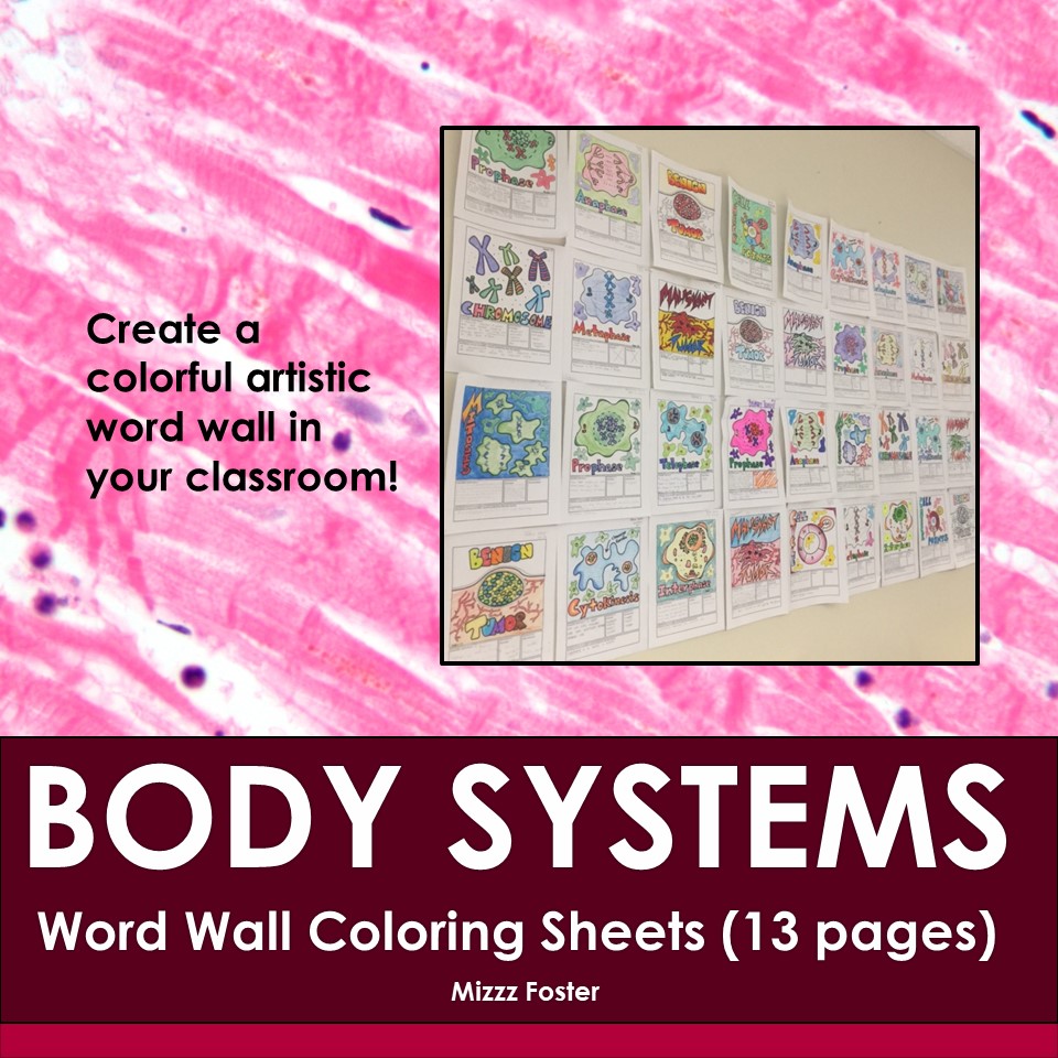 Human Anatomy & Physiology: Body Systems Word Wall Coloring Sheets ...