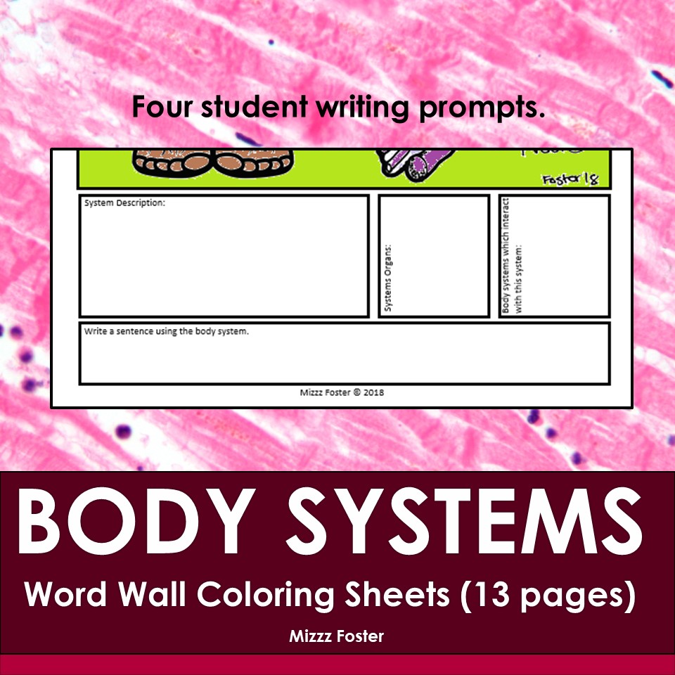 Human Anatomy & Physiology: Body Systems Word Wall Coloring Sheets ...