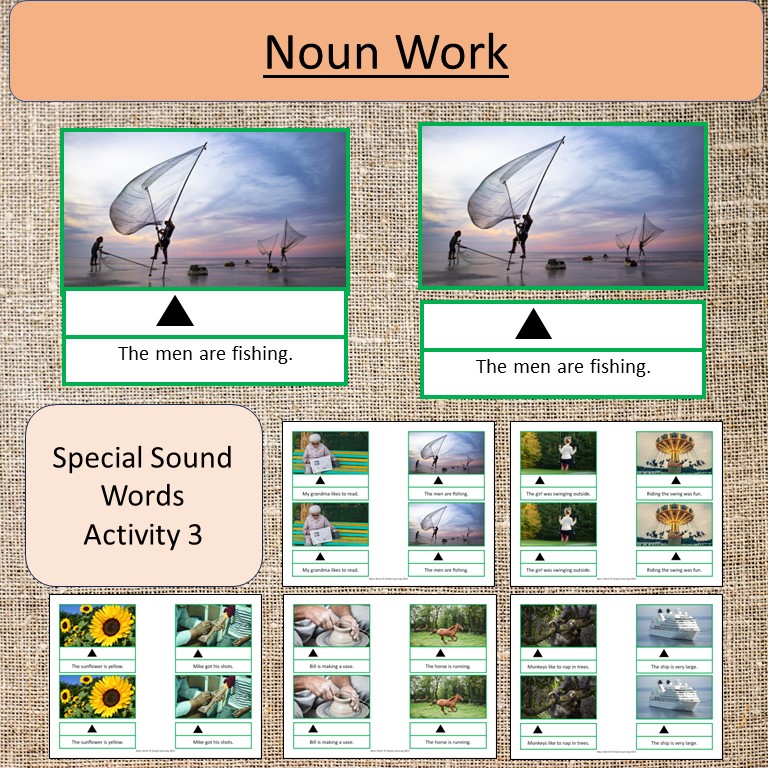 Marine Shellfish: Blue Mussel Ocean Study Montessori Life Cycle & Parts ...