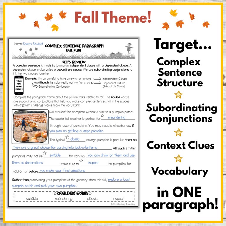 Writing Complex Sentences With Subordinating Conjunctions-Paragraph ...