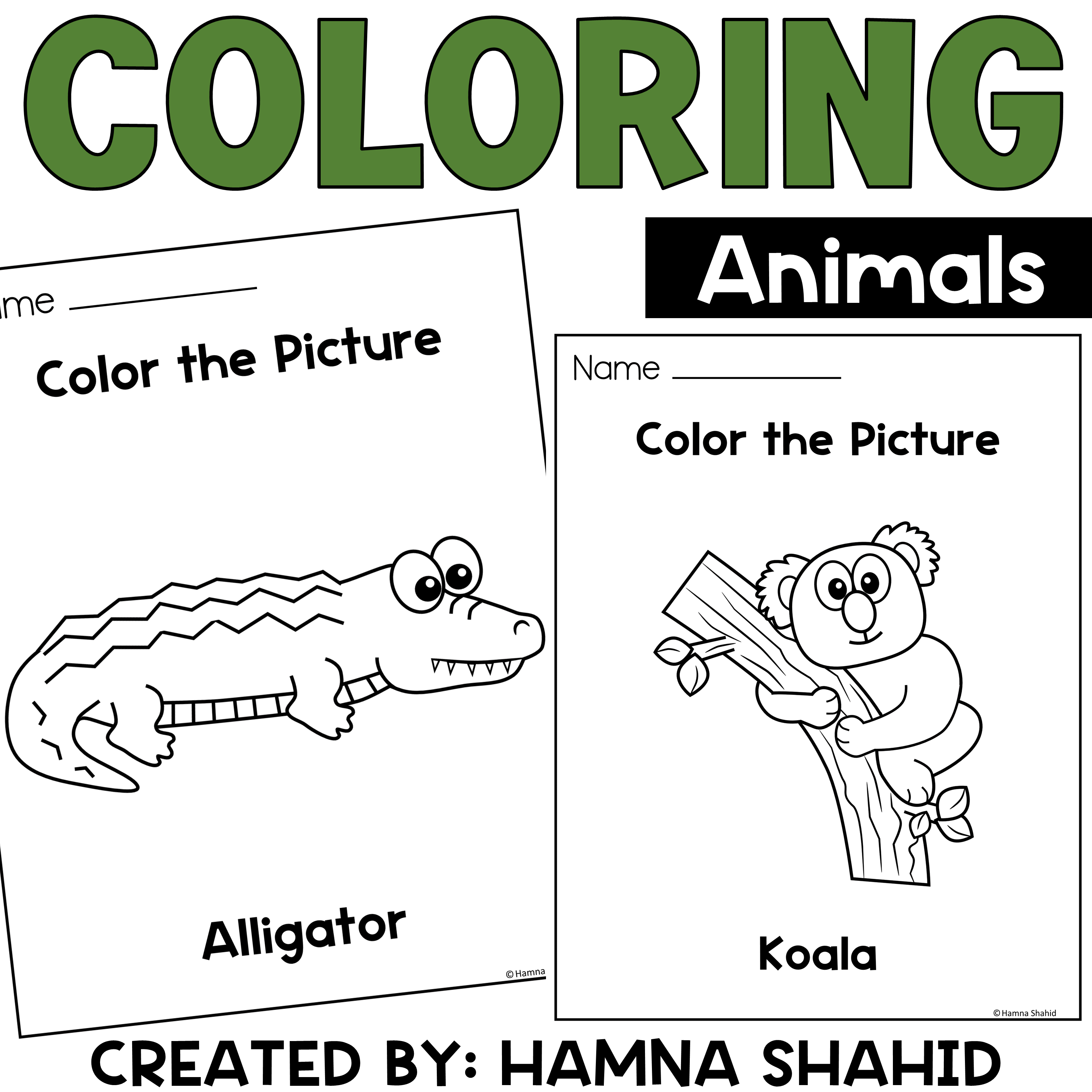 Color the Number 10-20 | Made By Teachers