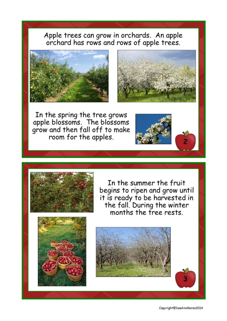 Apple Facts Mini Book Reading Comprehension | Made By Teachers