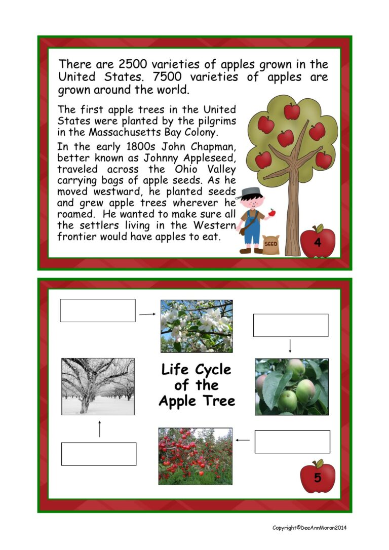 Apple Facts Mini Book Reading Comprehension | Made By Teachers