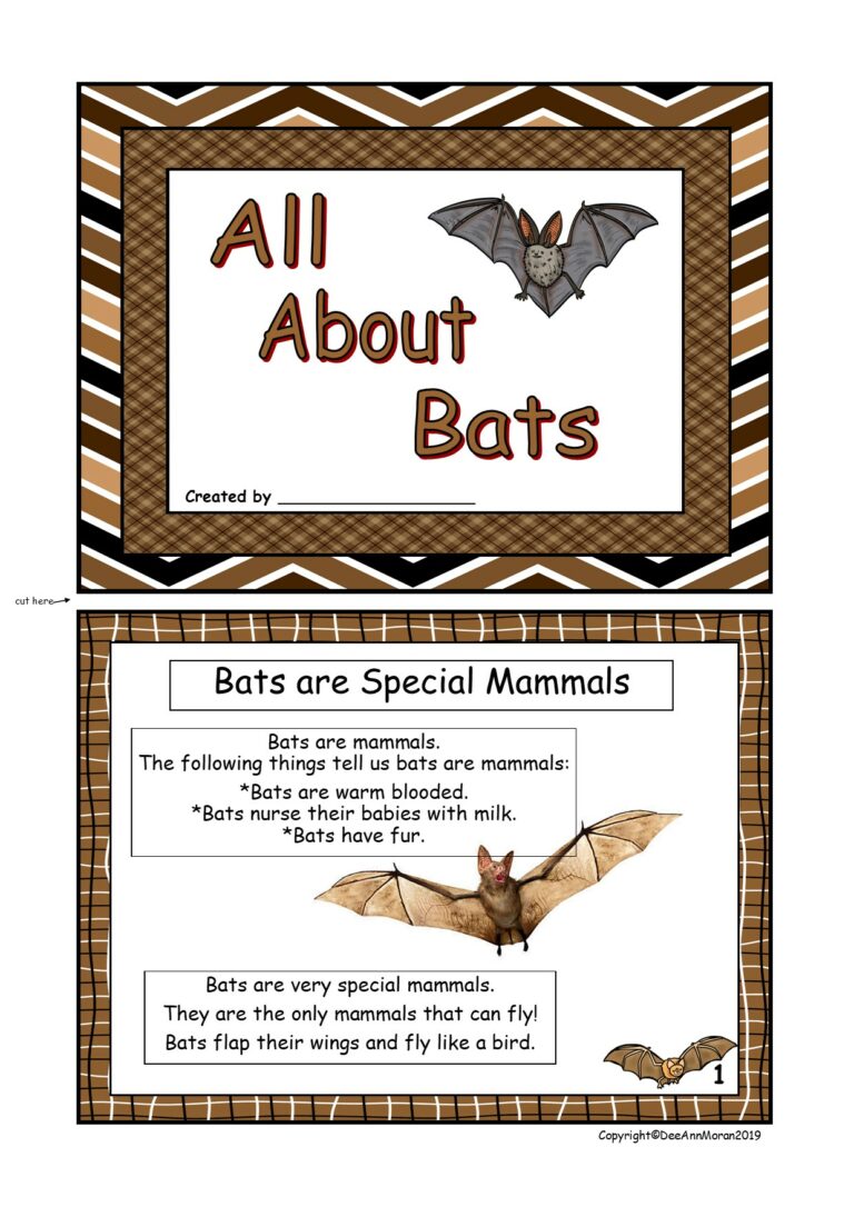All About Bats Reading Comprehension Mini Book - Made By Teachers