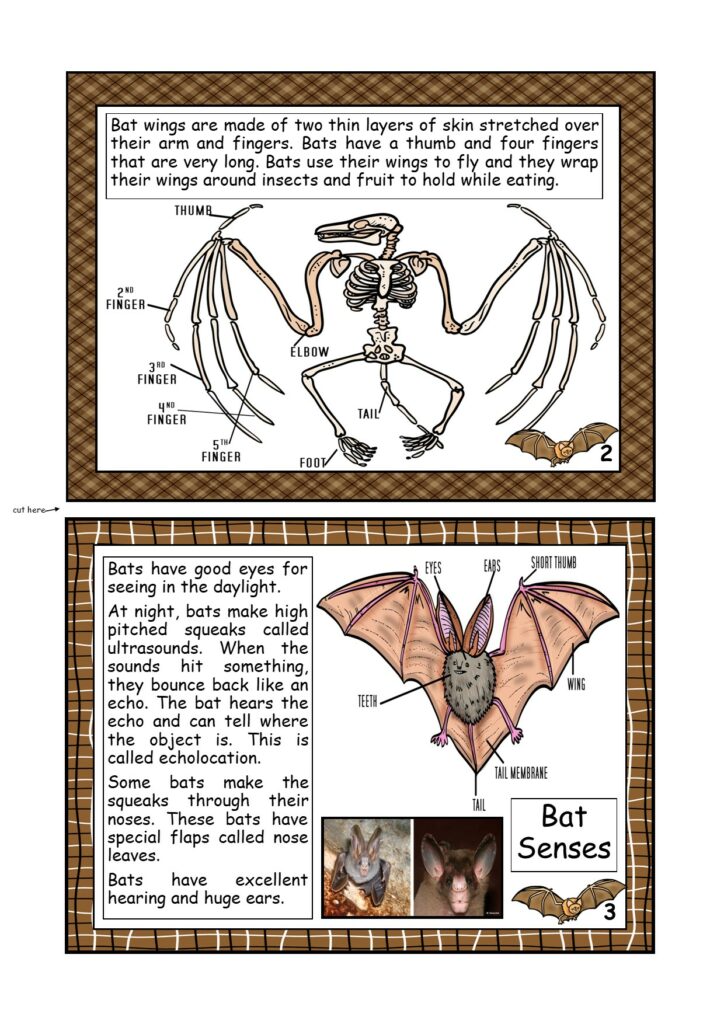 All About Bats Reading Comprehension Mini Book - Made By Teachers