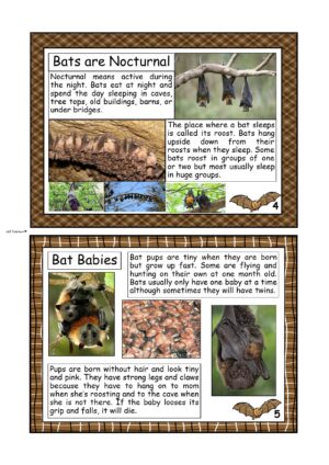 All About Bats Reading Comprehension Mini Book - Made By Teachers