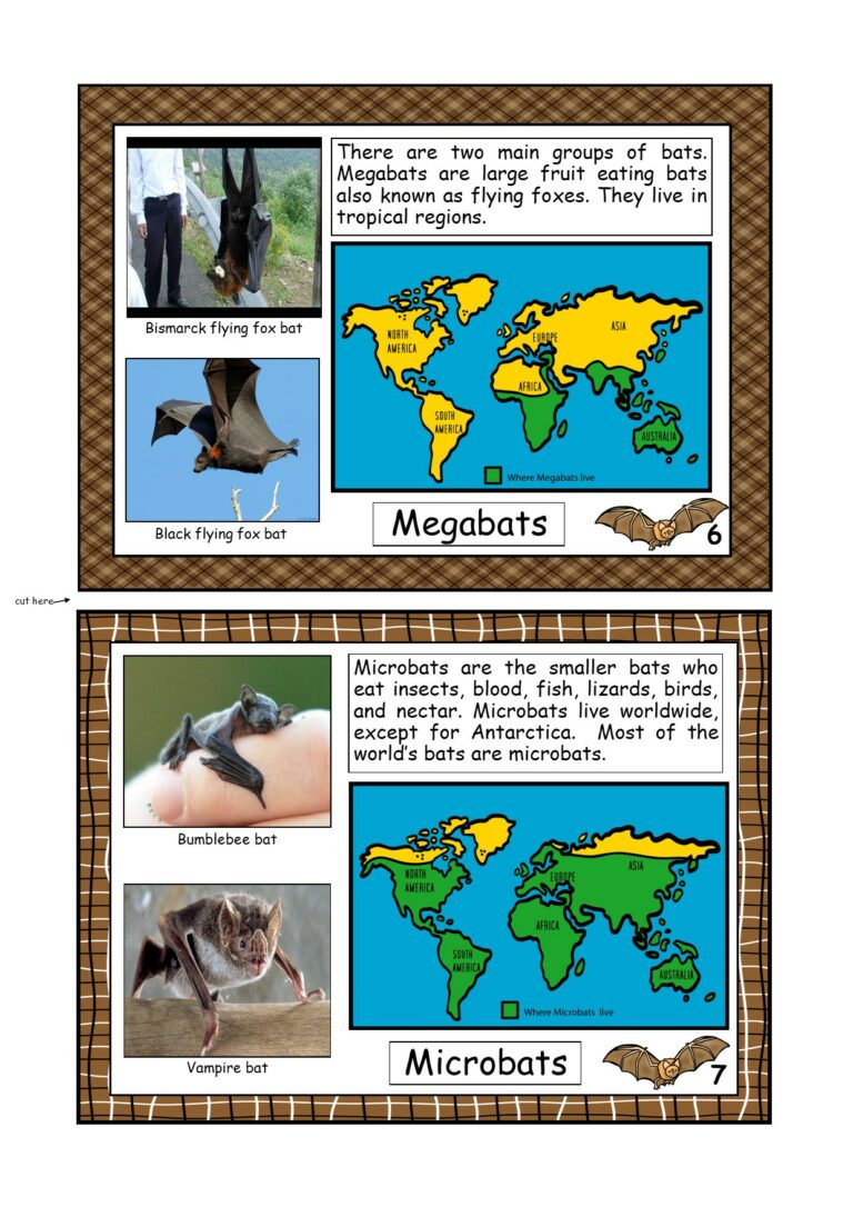 All About Bats Reading Comprehension Mini Book - Made By Teachers