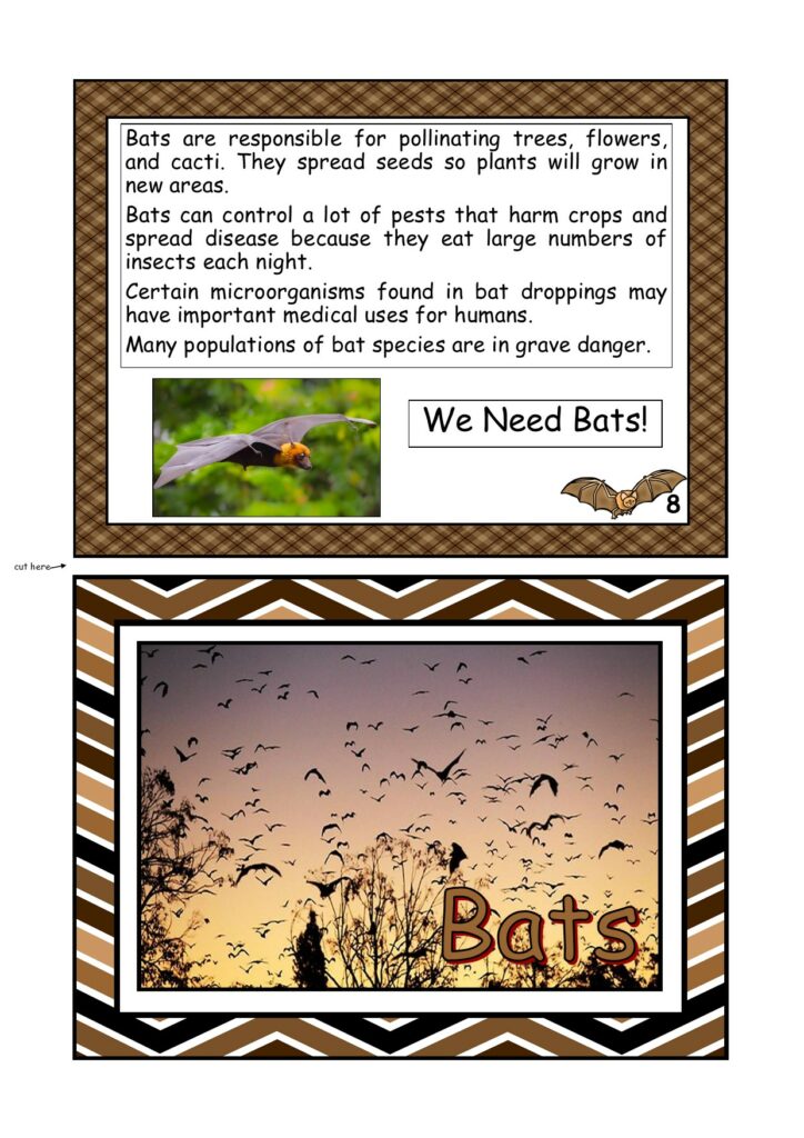 All About Bats Reading Comprehension Mini Book - Made By Teachers