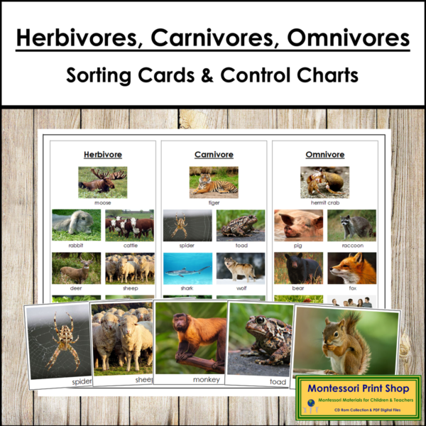 Herbivore, Carnivore & Omnivore Animals - Sorting Cards & Control Chart ...