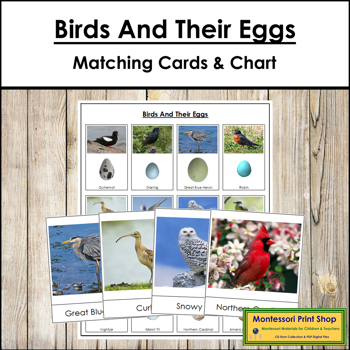 Animal Coverings (Scales, Feathers & Fur) - Sorting Cards & Control ...
