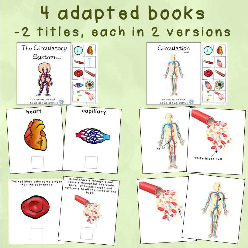 Human Body Circulatory System Unit BUNDLE | Made By Teachers