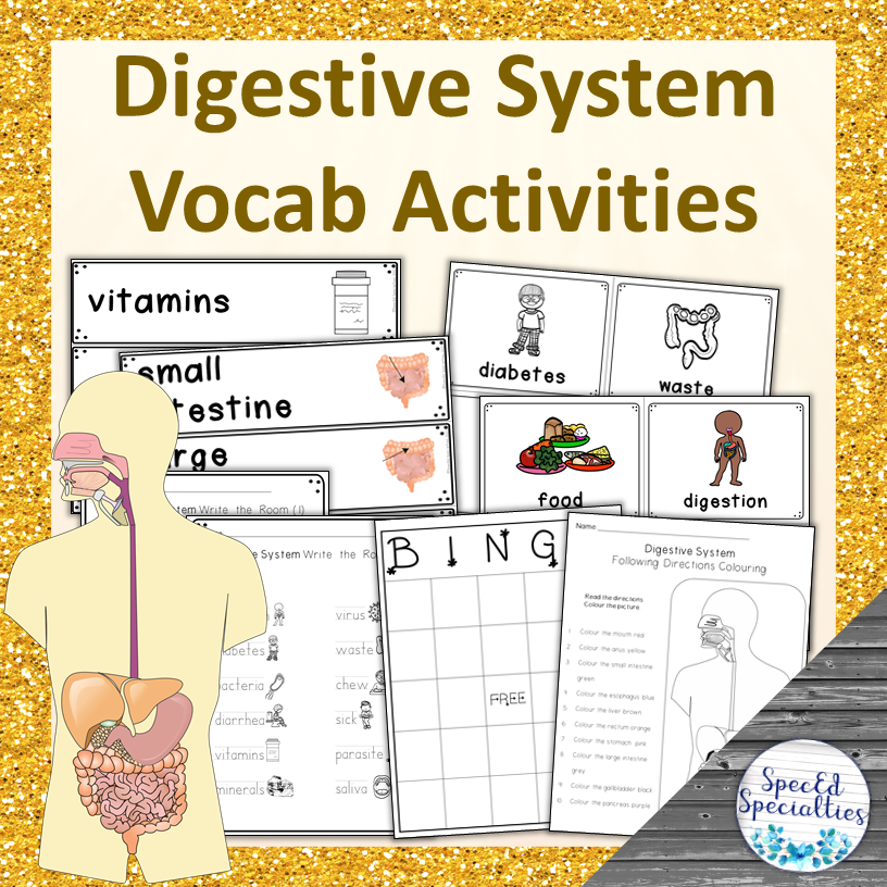 Human Body Digestive System Vocabulary Activities Write the Room and ...
