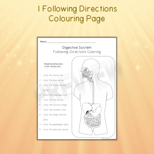 Human Body Digestive System Vocabulary Activities Write the Room and ...