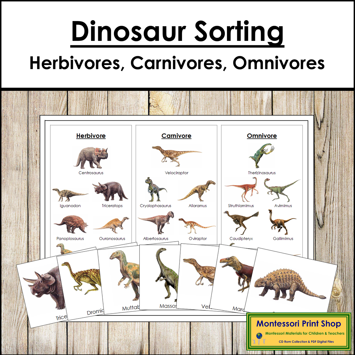 Arctic and Antarctic Animal Sorting (Sorting Cards & Control Chart ...