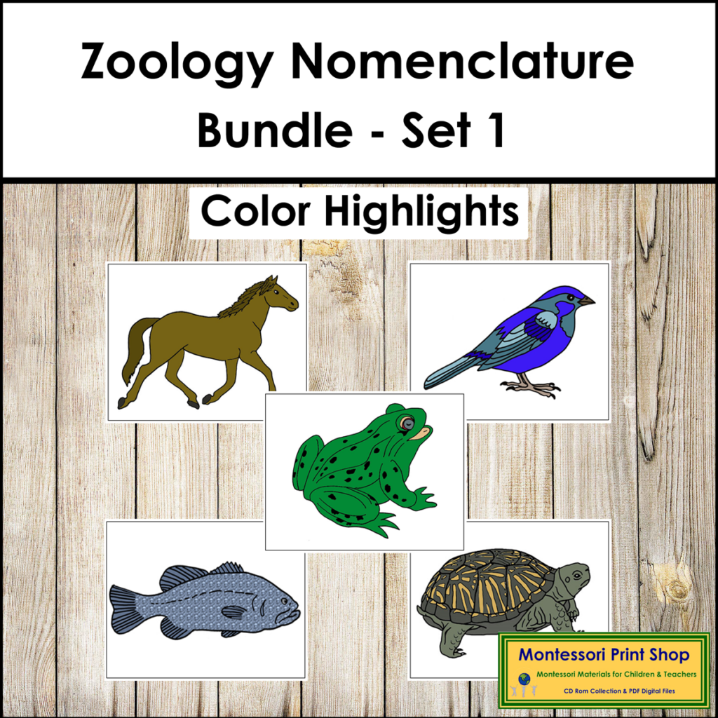 Zoology Nomenclature Bundle (Set #1) - Montessori | Made By Teachers