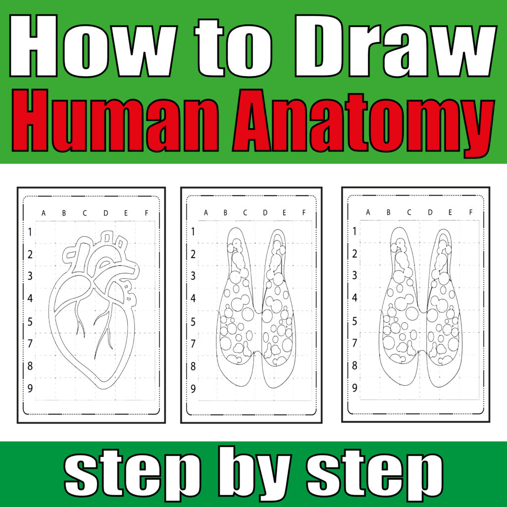 How to Draw Human Anatomy Coloring Book step by step | Made By Teachers