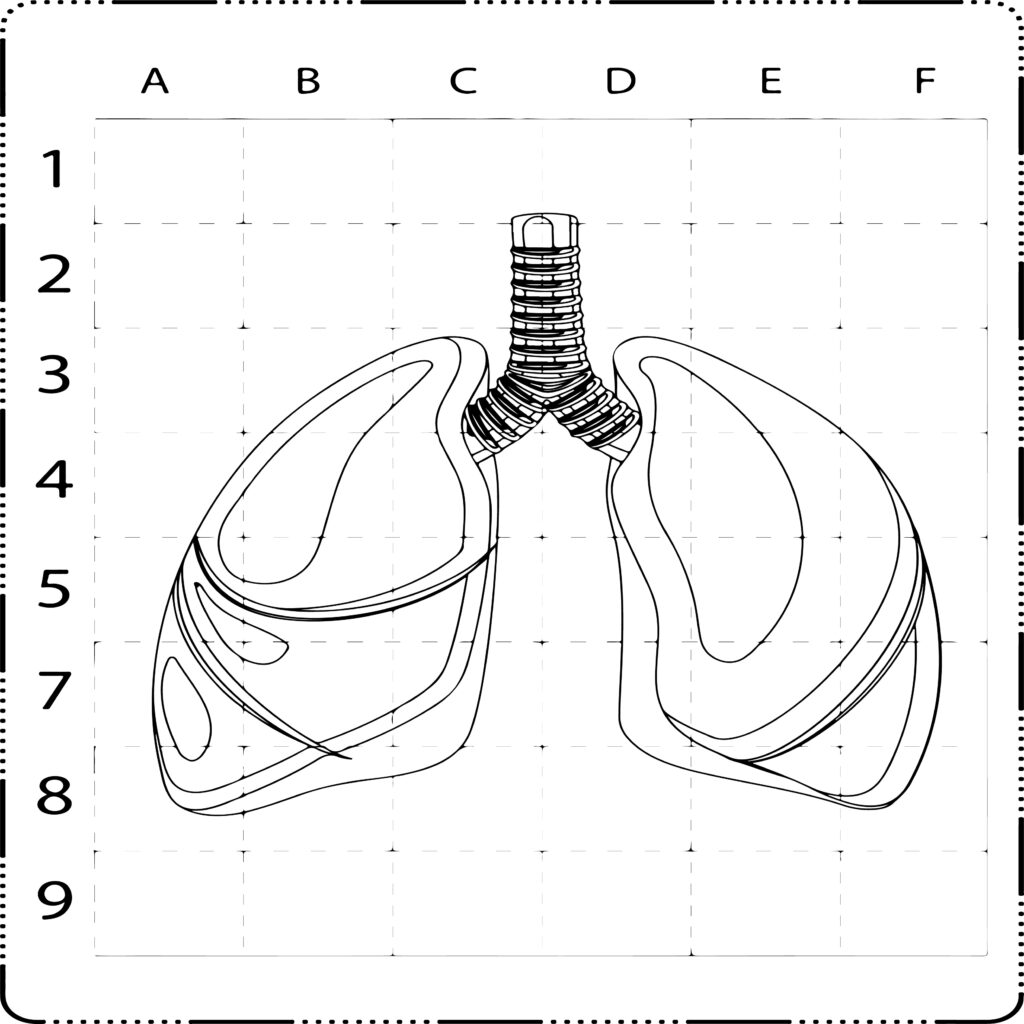 How to Draw Human Anatomy Coloring Book step by step | Made By Teachers