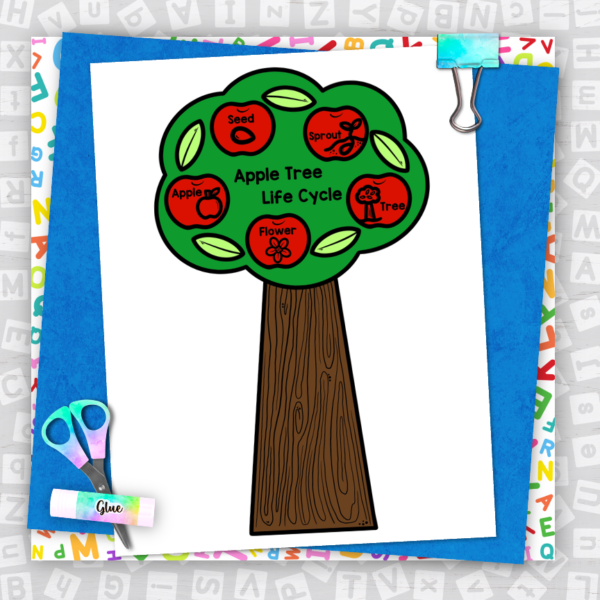 Apple Tree Life Cycle Craft | Fall Craft | Made By Teachers