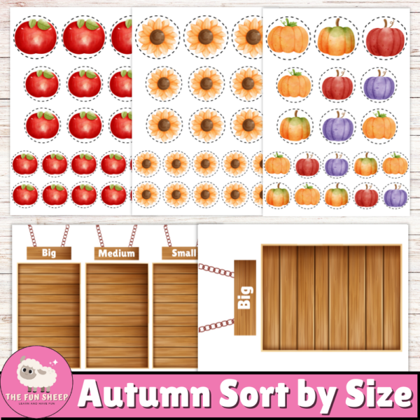 Autumn Sort by Size | Size Sorting Activity - Fall Pumpkins apples ...