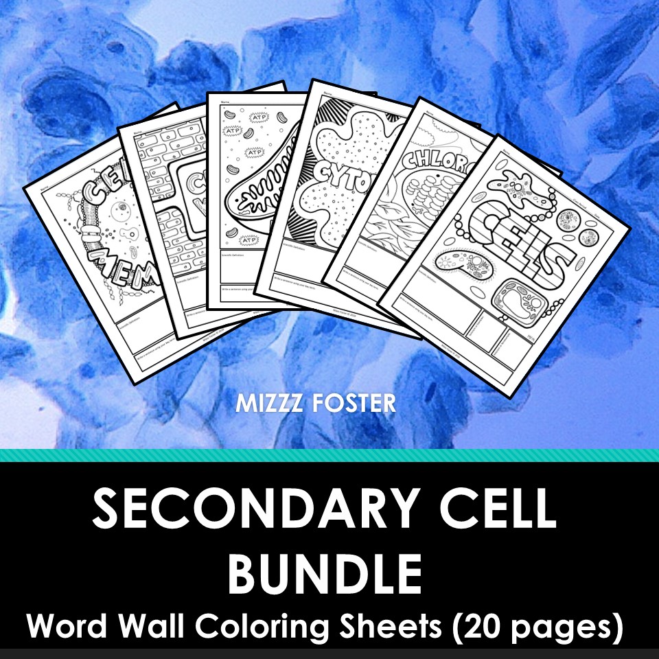 Biome & Ecosystems Word Wall Coloring Sheets (25 pages) | Made By Teachers