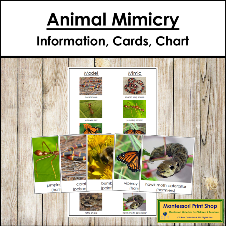 Animal Mimicry Sorting Cards & Control Chart - Animal Behavior/Zoology ...