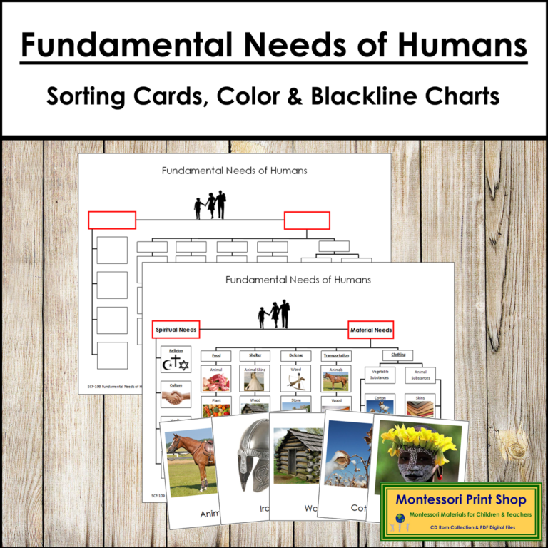 Fundamental Needs of Humans - Montessori Social Studies - Made By Teachers