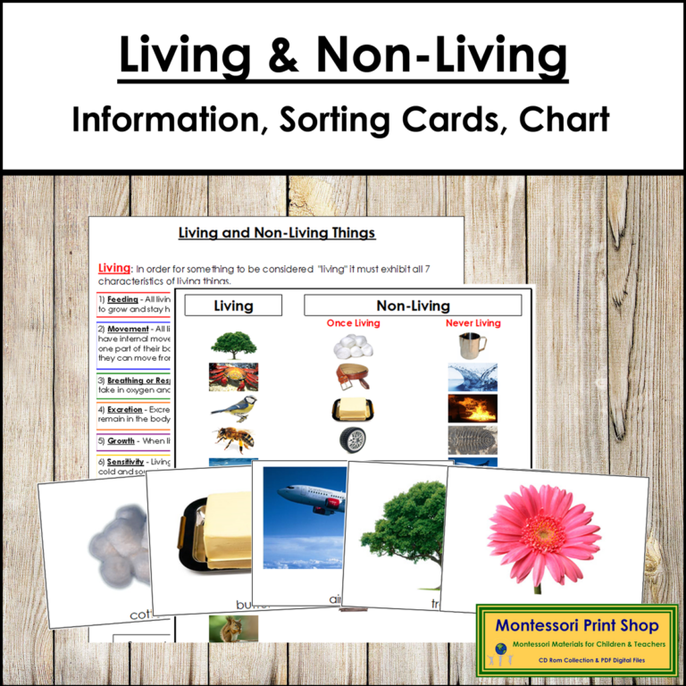 Living or Non-living - Sorting Cards & Control Chart | Made By Teachers