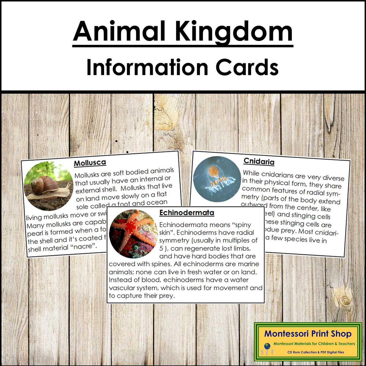 Animal Kingdom Bundle (color-coded) - Animal Classification ...